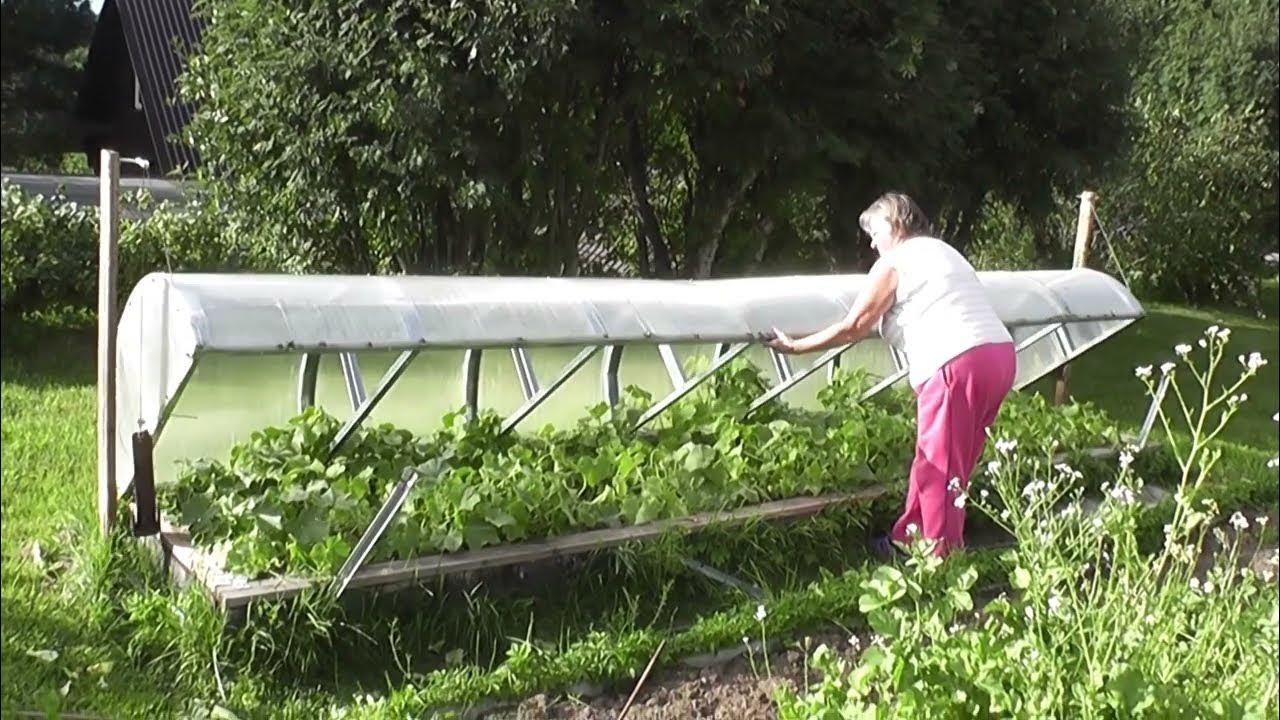 Огуречная теплица - YouTube