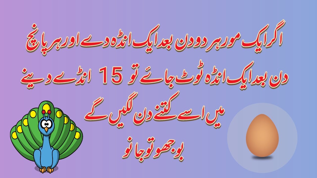 Riddles in urdu|riddles for kids|urdu riddles|difficult riddles for ...