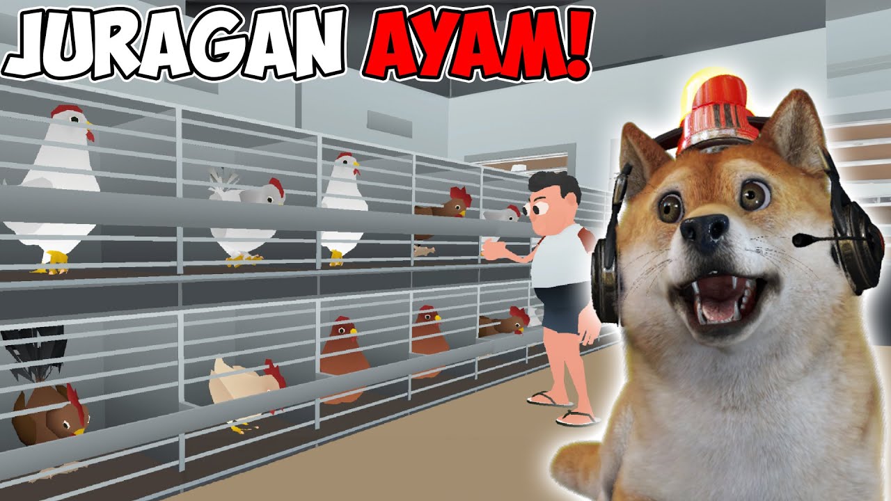 OBIT MULAI USAHA BERTERNAK AYAM? - AKU SI JURAGAN AYAM - YouTube