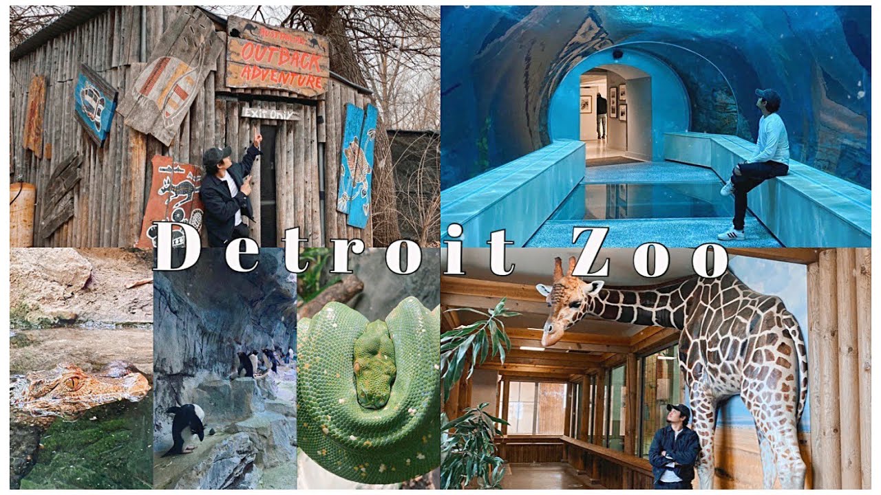 Detroit Zoo 🇺🇸| travel vlog, reptiles, penguins, giraffes, lions, polar ...