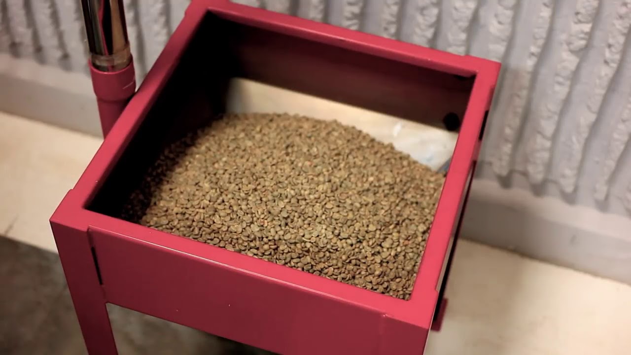 What's so special about Sisel International? - YouTube