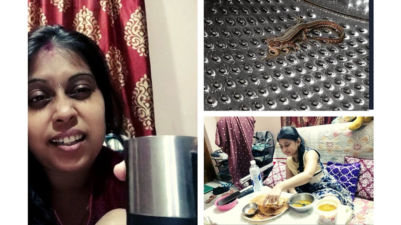 It Took Me 15-20 Minutes To Take Out A Lizard From Inside The Washing ...