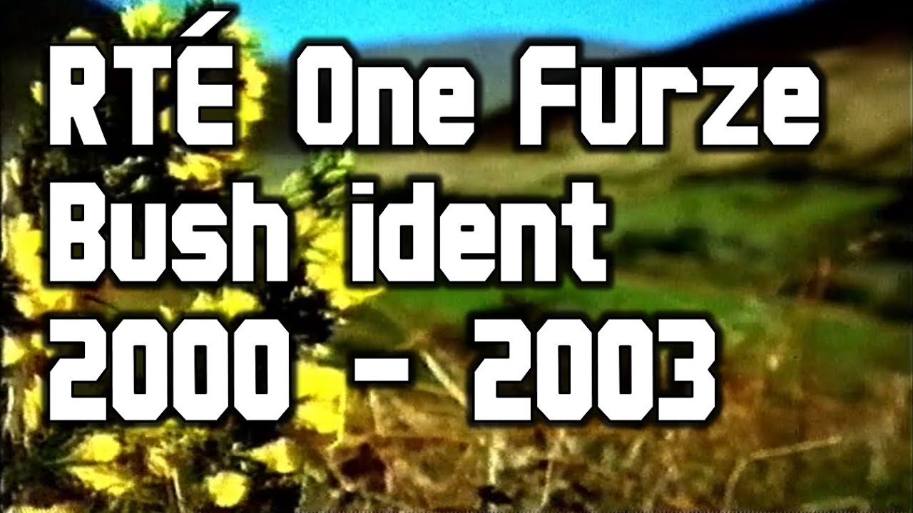 RTÉ One - Furze Bush ident | 2000 - 2003 - YouTube