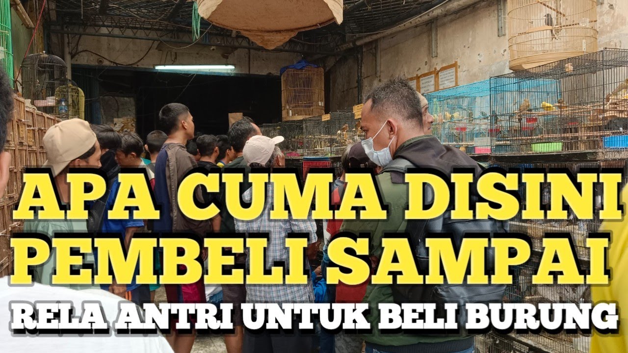 APA CUMA DISINI PEMBELI SAMPAI RELA ANTRI?? SEMURAH ITUKAH HARGANYA ...