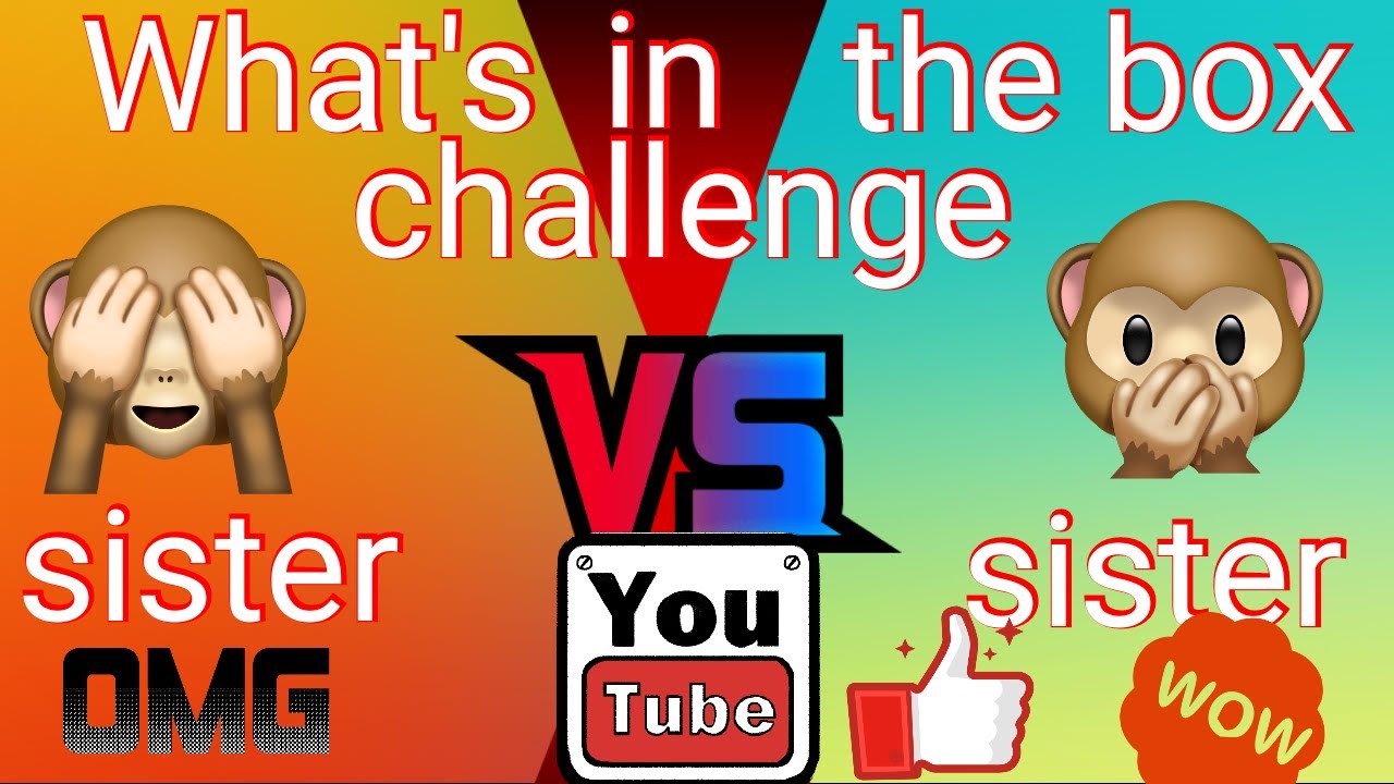 What's in the box challenge sis vs sis - YouTube