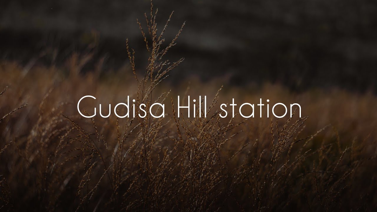 Cinematic gudisa video || gudisa travel video || gudisa Hill station ...