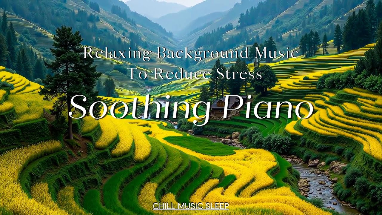 Relaxing Background Music Reduce Stress 🍀🎶 Increase Deep Focus ...