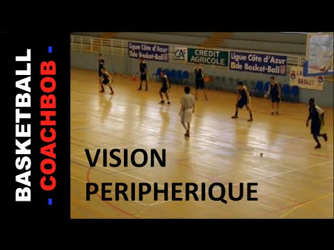 Vision périphérique et vitesse de réaction par Fabrice Serrano - YouTube