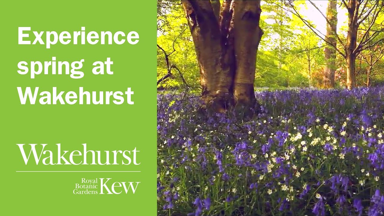 Wakehurst Gardens Kew | Fasci Garden