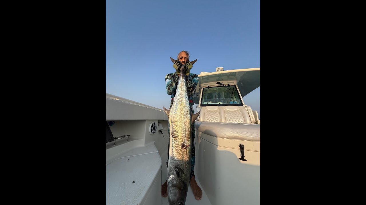 The Majestic Monster kingfish for the Ages! - YouTube