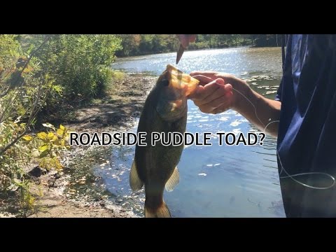 Fishing and Facetime?? - YouTube