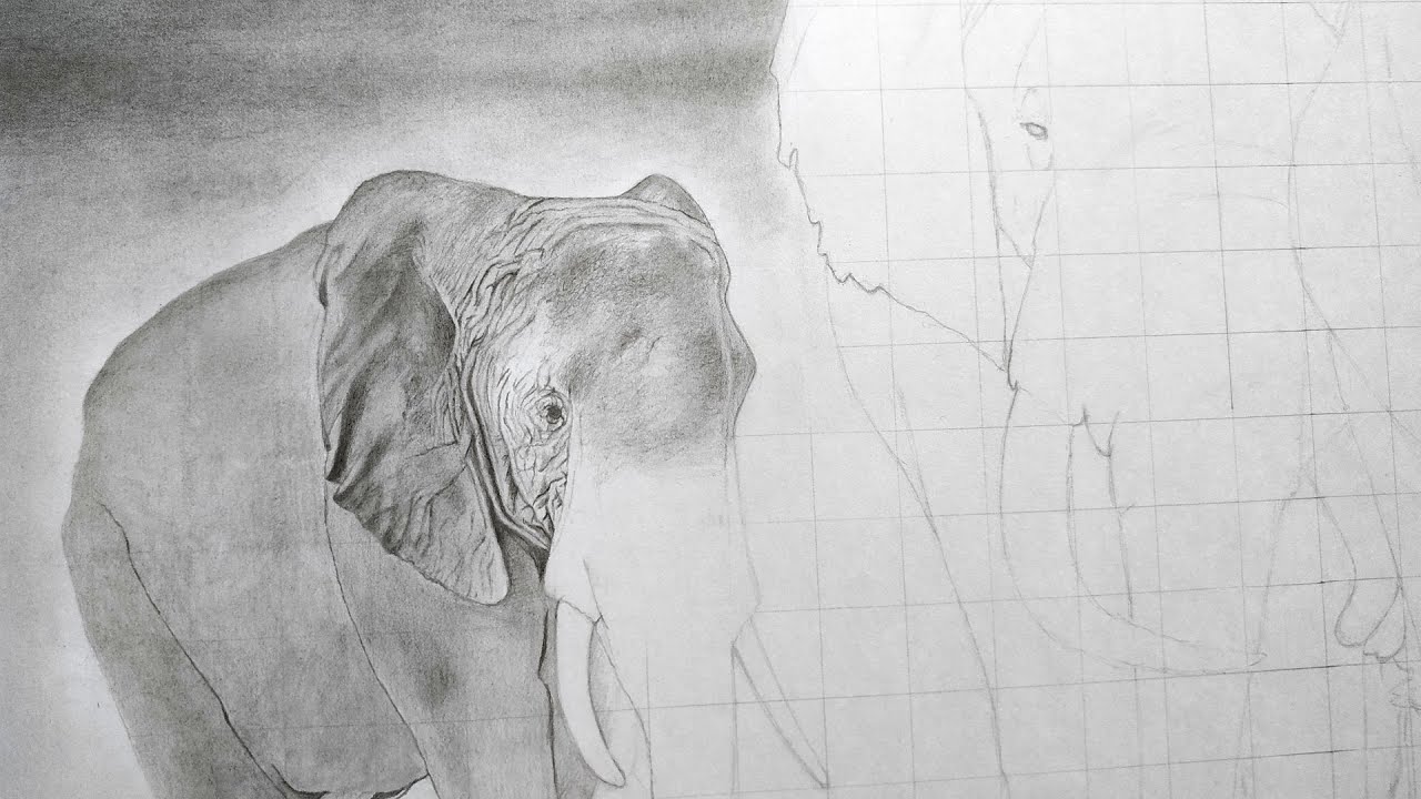 Hyper Realistic Elephant Skin Texture drawing || EP-01 - YouTube