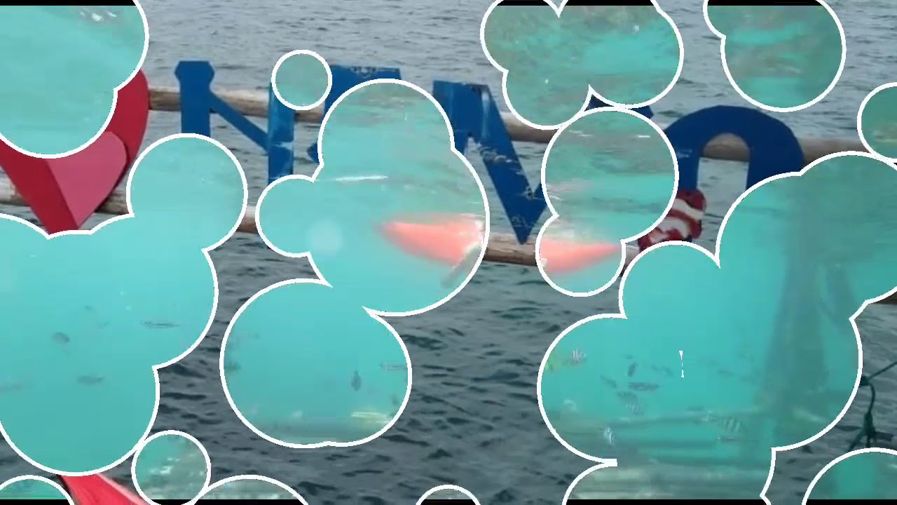 1 Day 1 Night trip to Bintan Neemo - YouTube