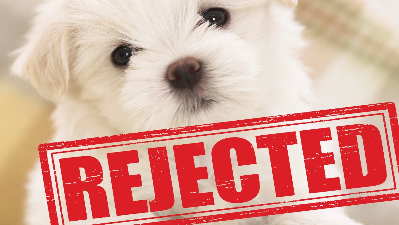 ANIMAL INSPECTOR - YouTube