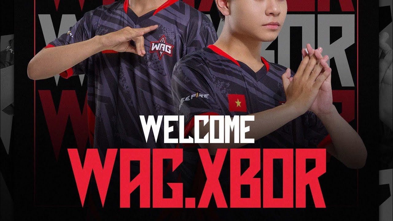 [SCRIM NTN #3] WAG XBOR MẢNH GHÉP HOÀN HẢO HỦY DIỆT BẢN ĐỒ 31 MẠNG HẠ ...