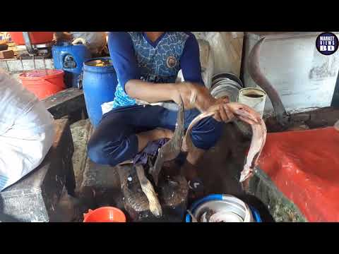 LIVE EEL KILLING AND CLEANING SKILLS IN FISH MARKET ||  MARKET VIEWS BD
