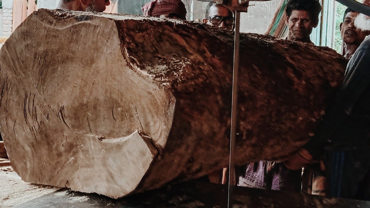 Extreme dangerous hard work skill cutting monster log by sawmill - YouTube