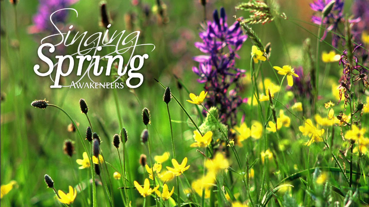 Awakeneers — Singing Spring - YouTube Music