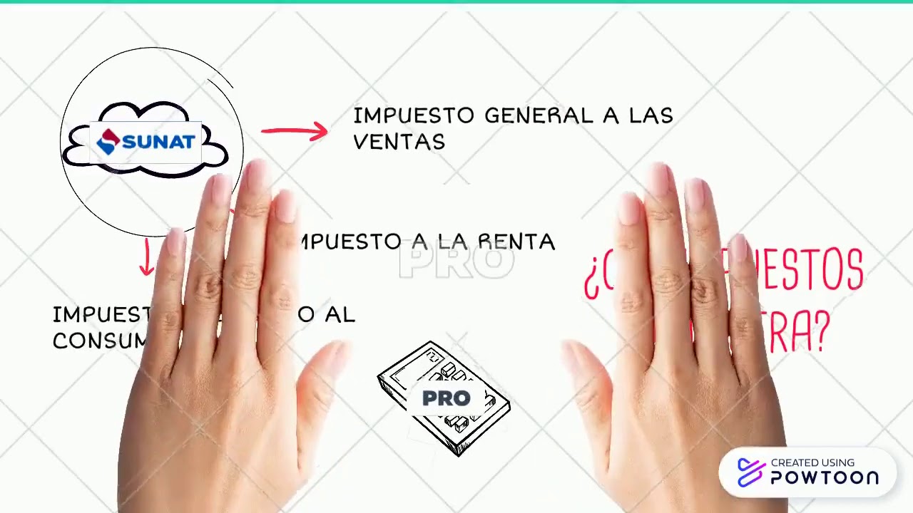 IMPORTANCIA DE LA SUNAT - YouTube