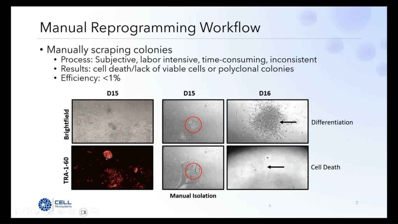 iPSC Reprogramming Challenges and Solutions - YouTube