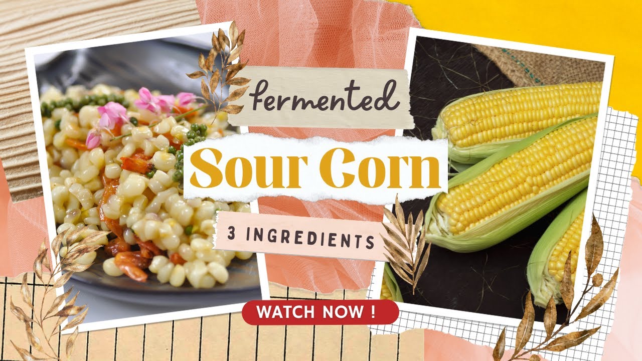 How to Make Fermented Sour Corn - YouTube