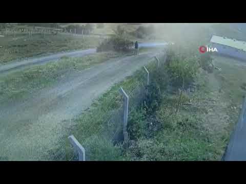 Kaçan kurbanlığın peşinden giden tıp öğrencisinin son görüntüleri ortaya çıktı