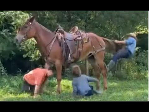 How Much Horse Sacking Out or Desensitizing Is Too Much? Flooding ...