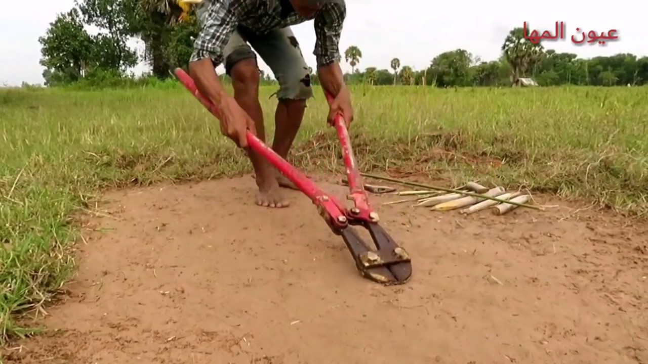 Easy Snake Trap - Simple DIY Creative Snake Trap make from Big Pliers ...