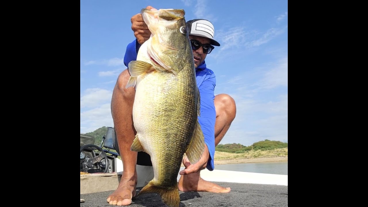 Pro Bass Adventures Mexico is Mexico's Premier Trophy largemouth bass ...