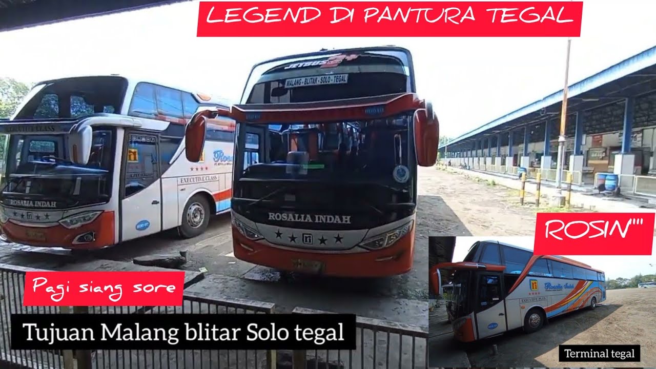 ROSALIA INDAH TERMINAL TEGAL!!AGEN bus terbaik di terminal tegal! tegal ...