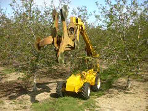 Sun Harvest Mechanical Orchard Pruning & Vegetation Maintenance - YouTube