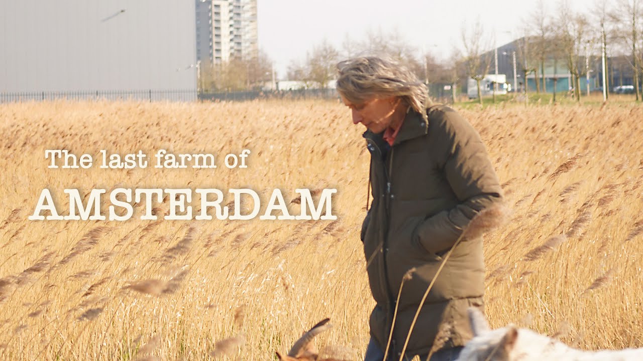 TRAILER - The last farm of Amsterdam (2023) - YouTube