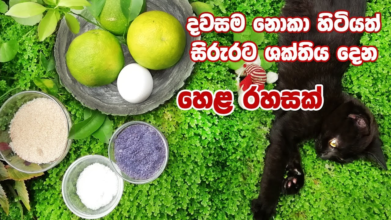 Pani dodam with Egg. Energy drink for anorexia. පැණි දොඩම් සමග බිත්තර ...