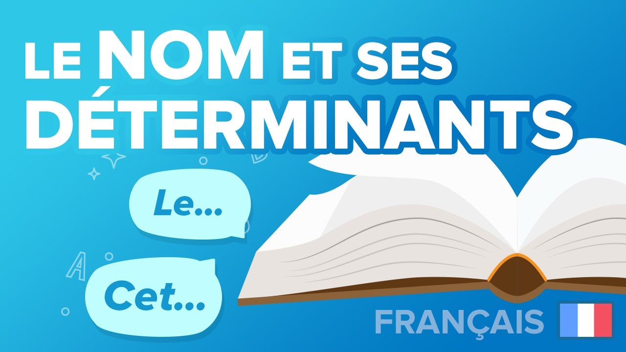 Le Nom et ses Déterminants (Astuce) - Français - Collège - Mathrix ...