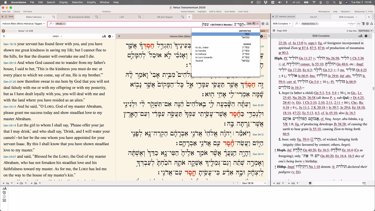 Accordance Bible software for Hebrew Bible - YouTube