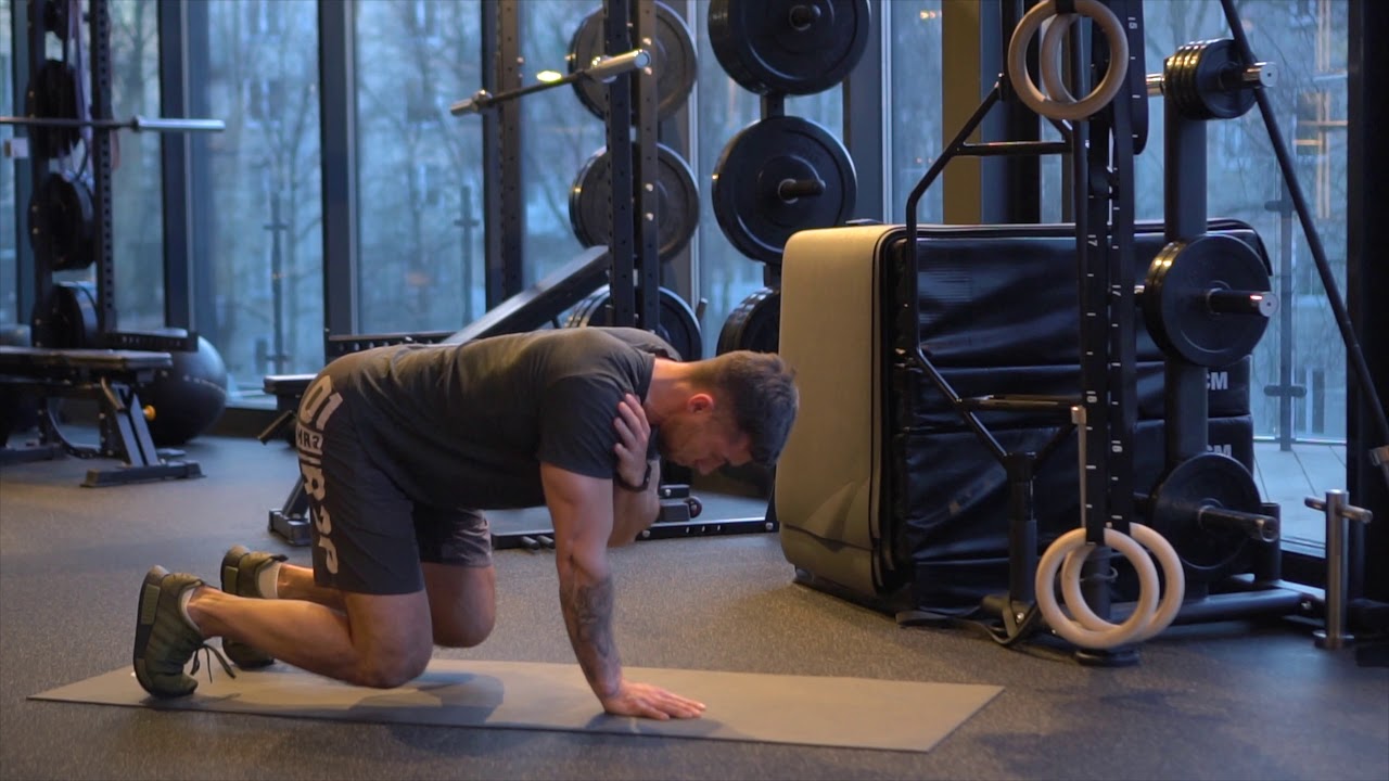 Quadruped Shoulder Taps - YouTube