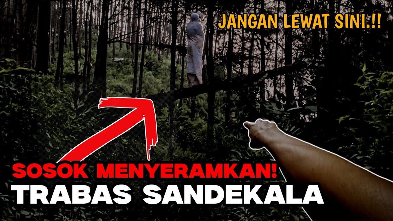 🔴TRABASS‼️MERINDING MUNCUL SOSOK MISTERIUS‼️hampir keselong dihutan! - YouTube