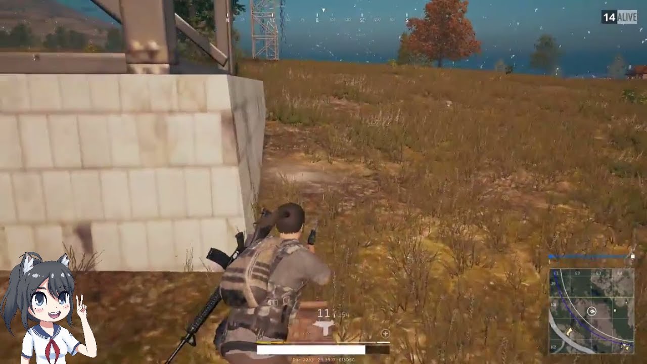 Professional PUBG player - YouTube