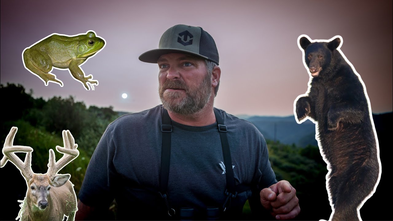 BUCKS BEARS & BULLFROGS (Huge buck caught with drone) - YouTube