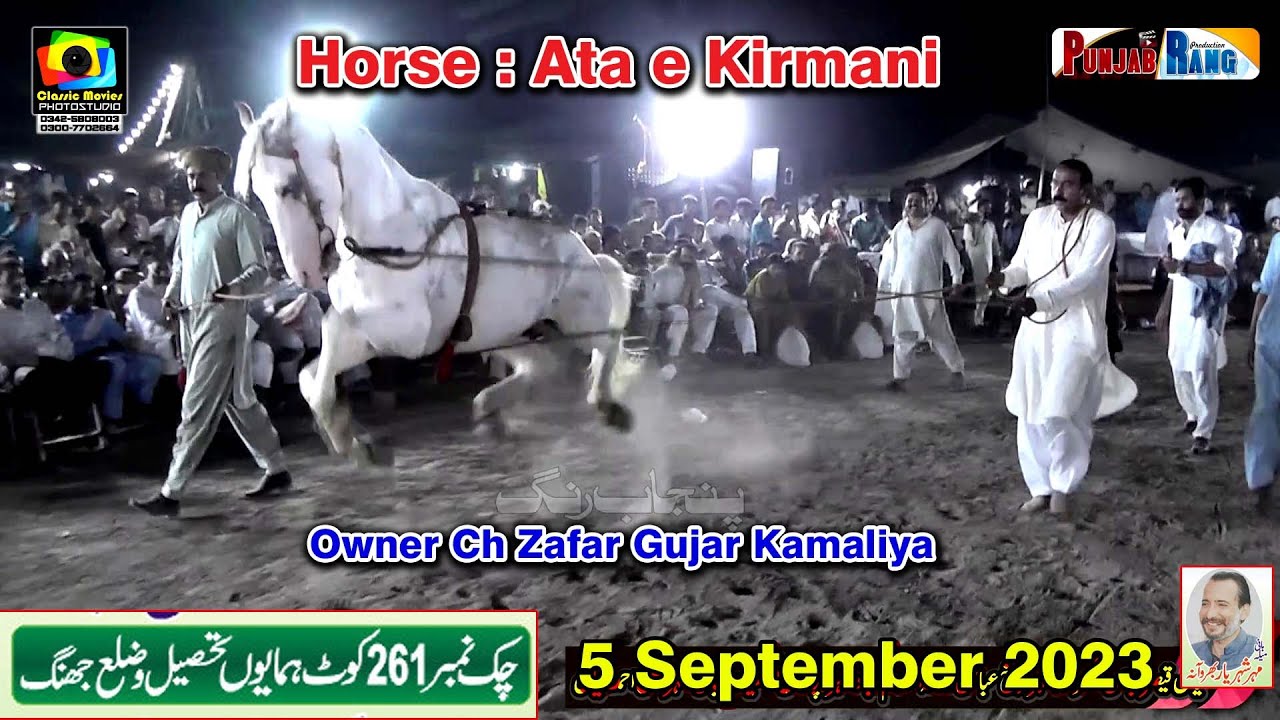 Ata e Kirmani ll Ch Zafar Gujar l Horse Dance Mehar Da Chak Jhnag l 5 ...
