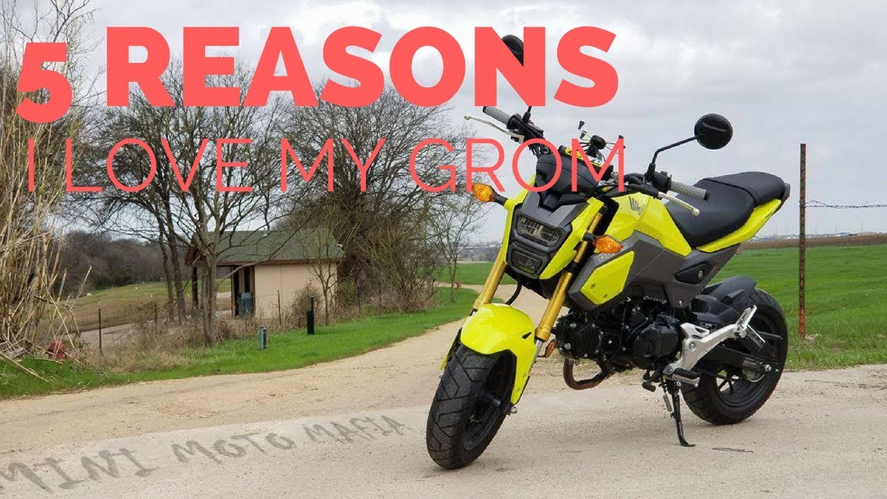 5 Reasons I LOVE my GROM | First Moto Vlog! - YouTube