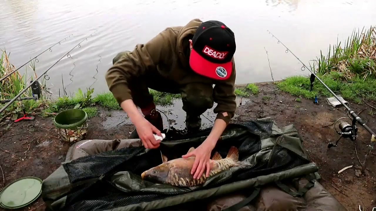 Thinking fishing go to poolhall - YouTube