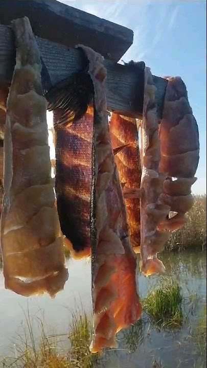 Юкола из щуки #baikal #рыбалка #охота #кулинария #вкусныерецепты # ...