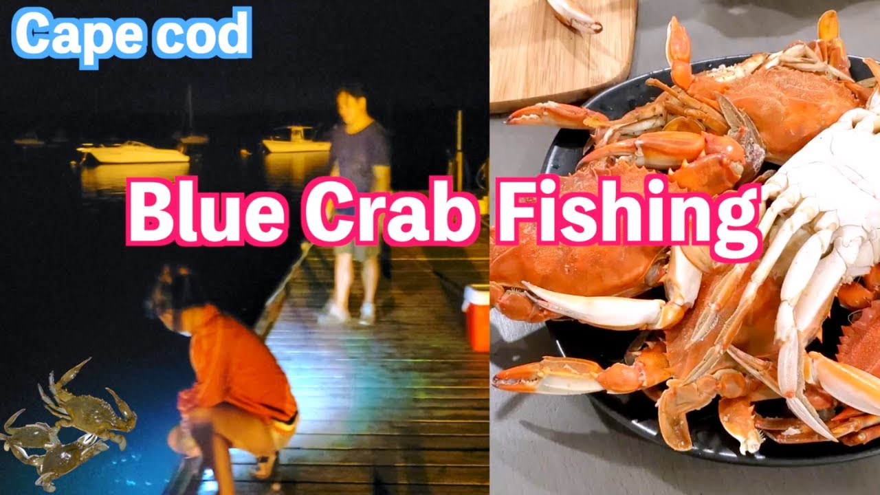 How to Blue Crab fishing at night | Cape cod - YouTube
