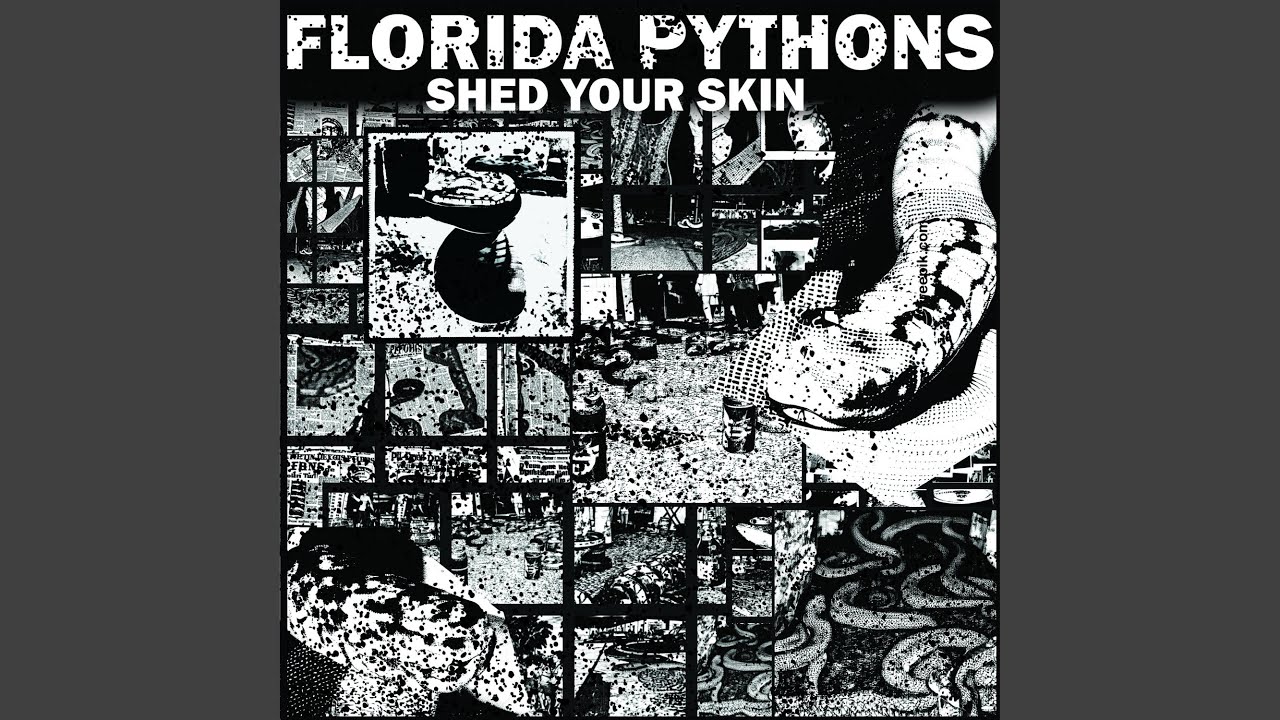 Shed Your Skin - YouTube