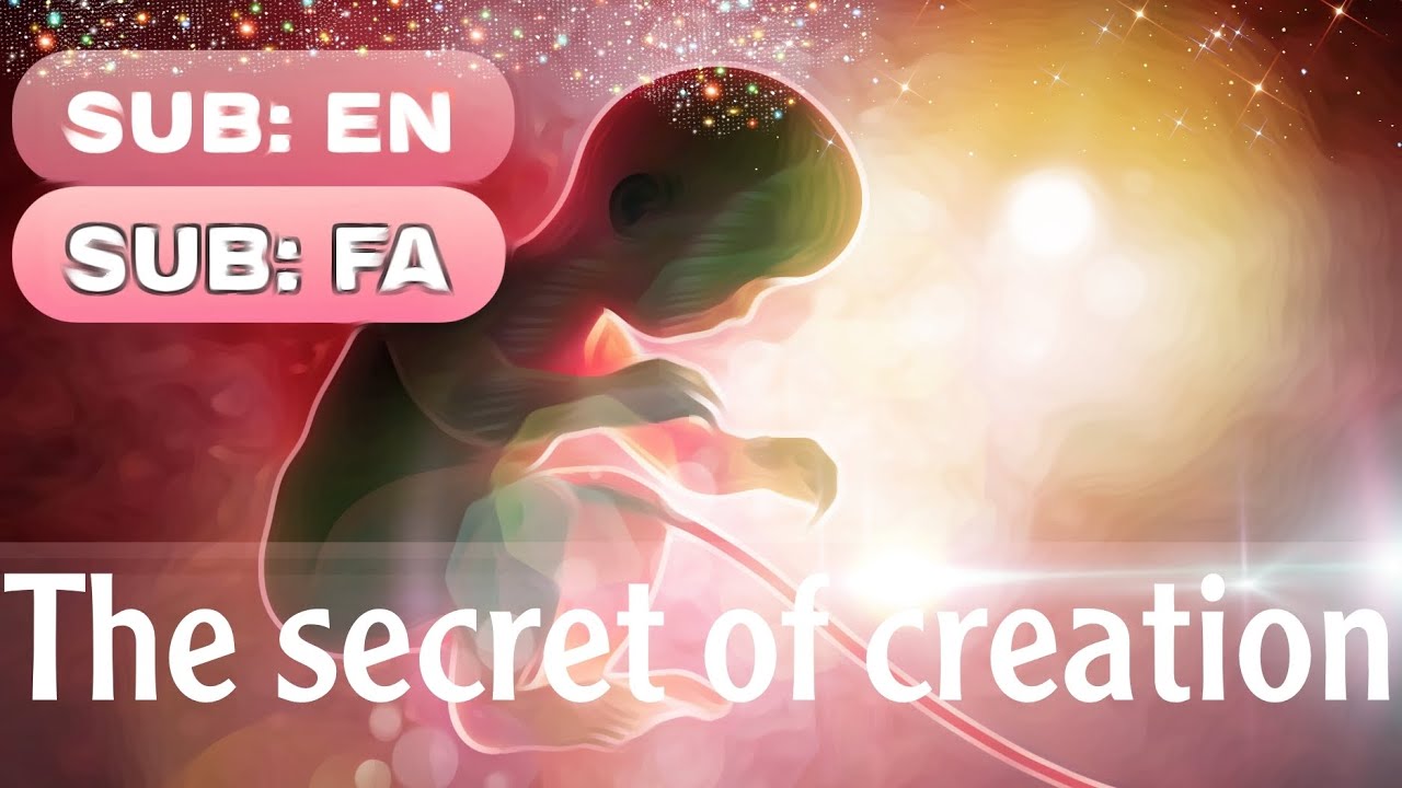 The secret [of creation] | secret [fetus] - YouTube