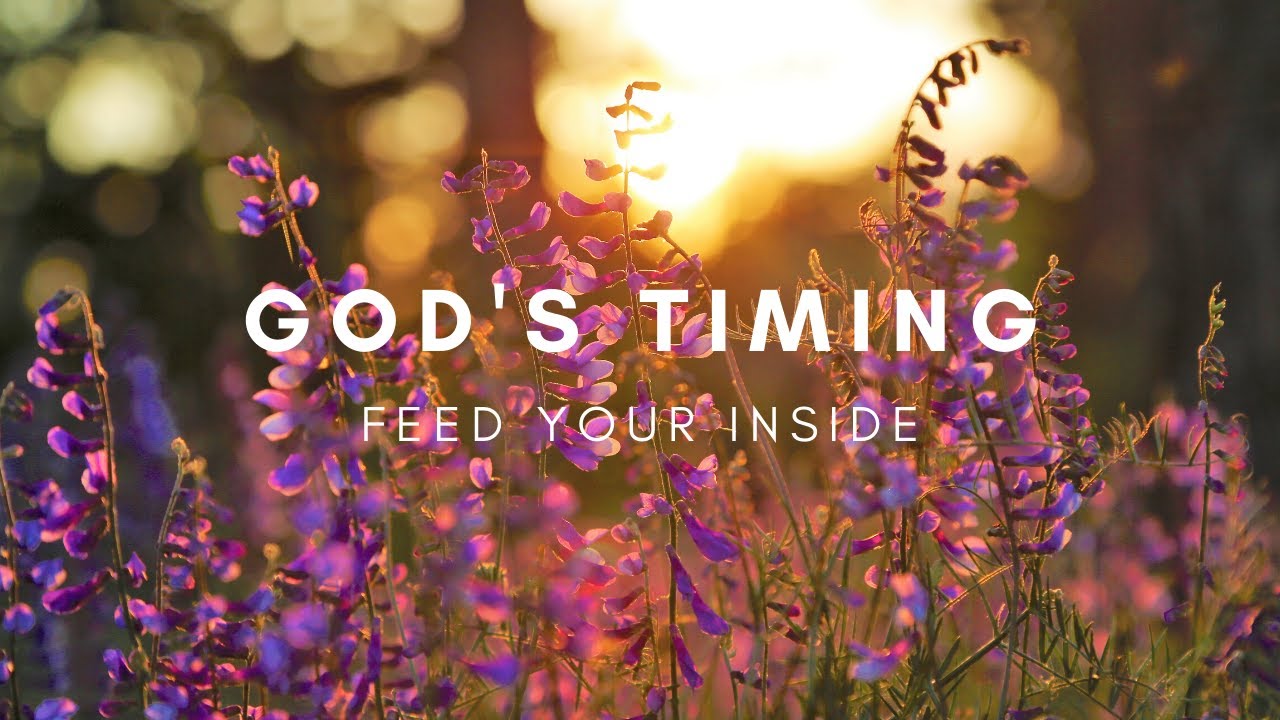 God's Timing | Bible Verse - YouTube