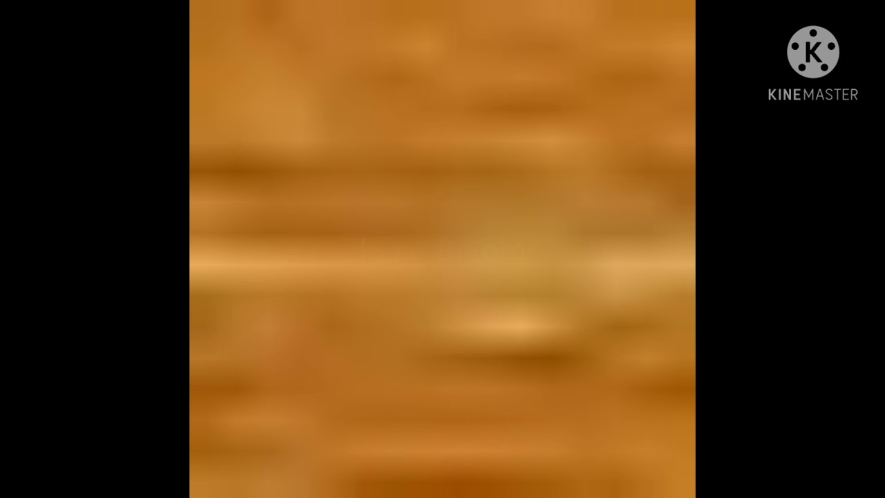 kung fu tom cast video - YouTube