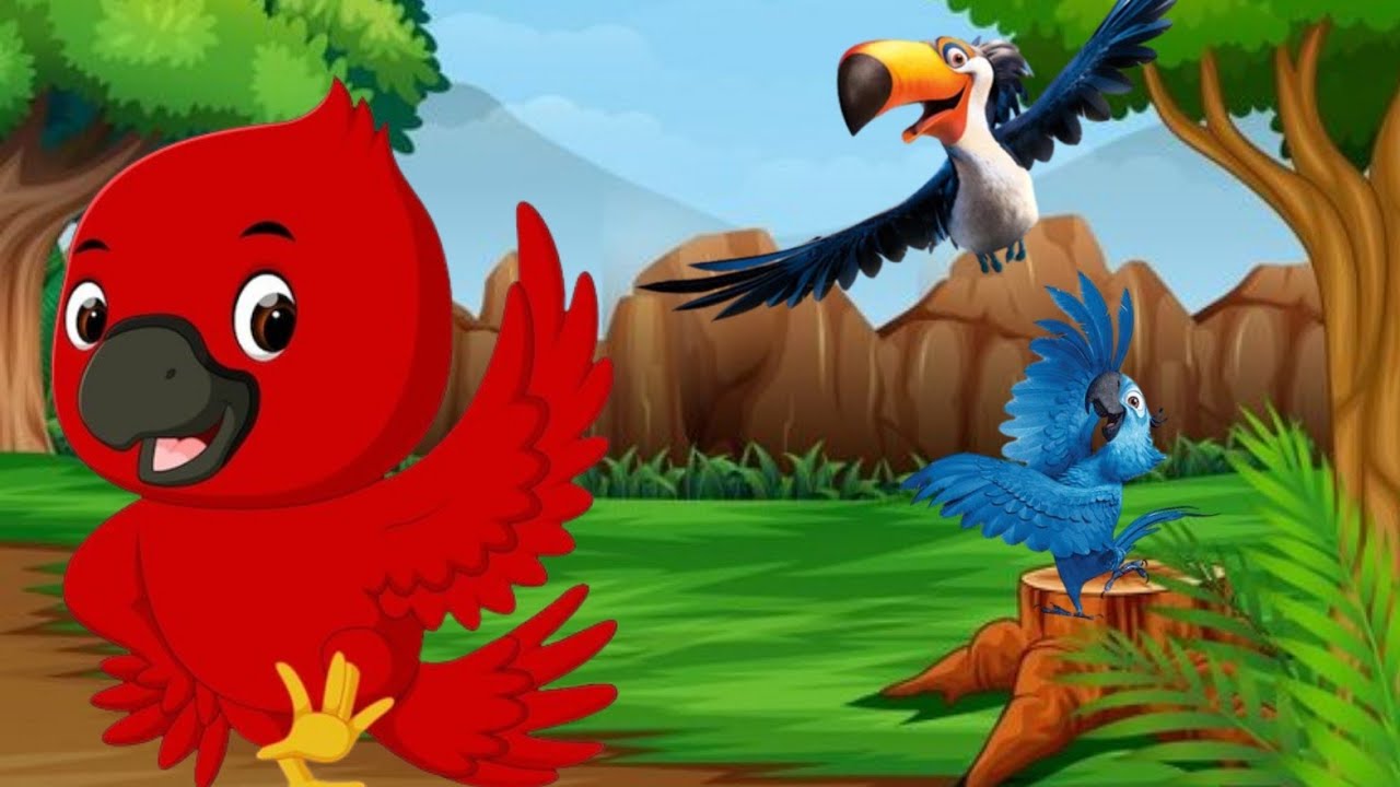 Suara burung - untuk anak-anak, kehidupan burung besar di alam liar ...