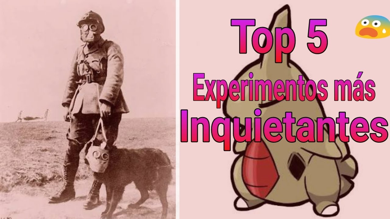 ¡Top 5 experimentos más raros e inquietantes! 😶 - YouTube